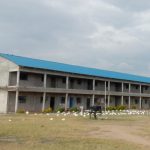 Raising the Roof: A Milestone in Chama's New School Project - The ...